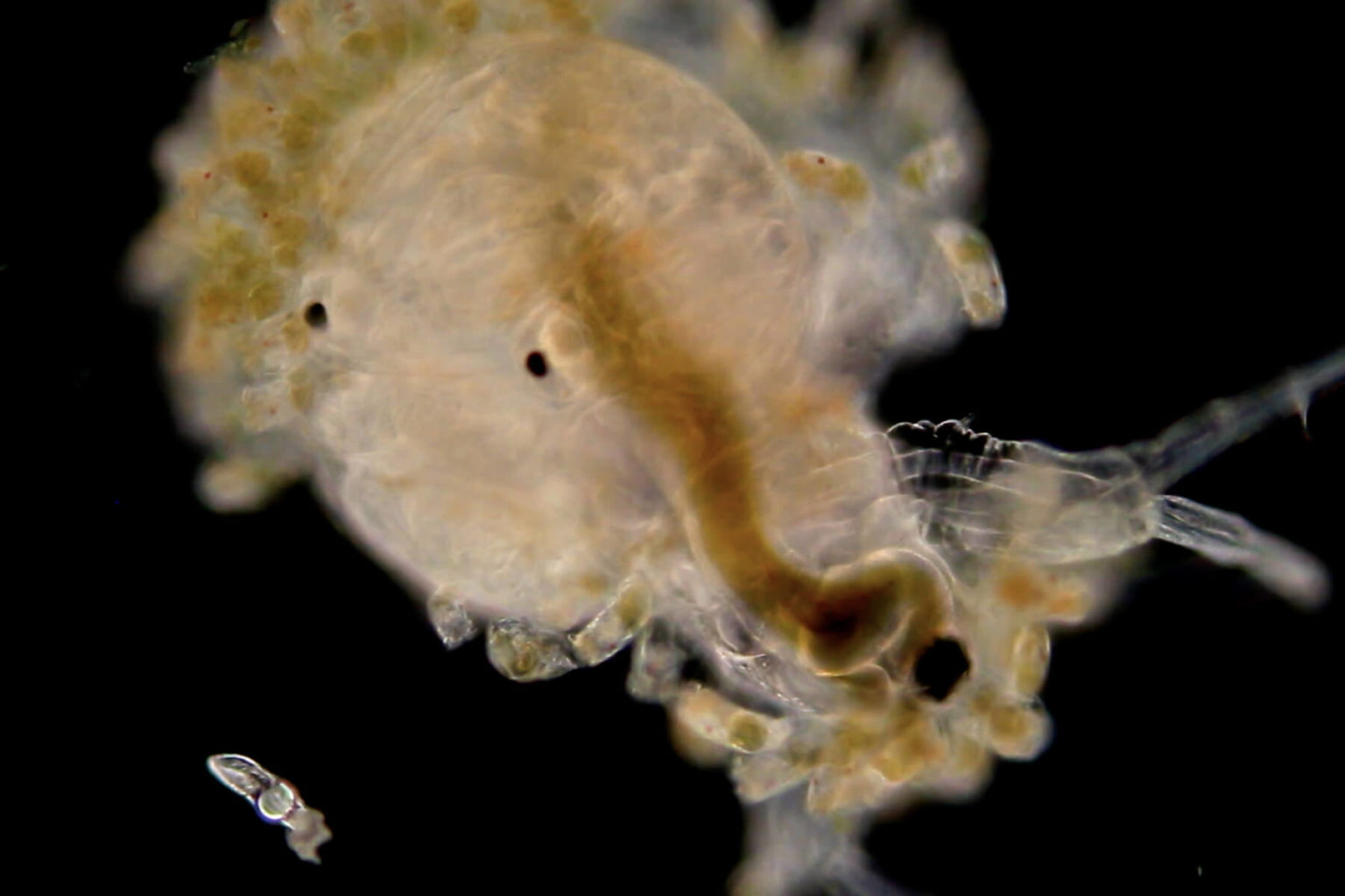 Interactives Archive - TecScience