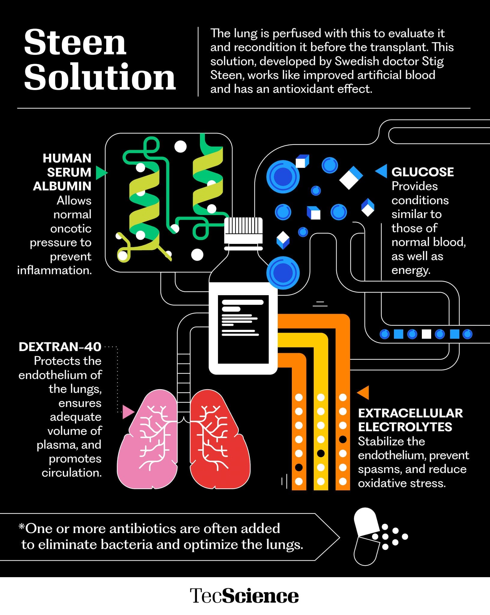 What is perfusion: improving lungs for transplantation | TecScience