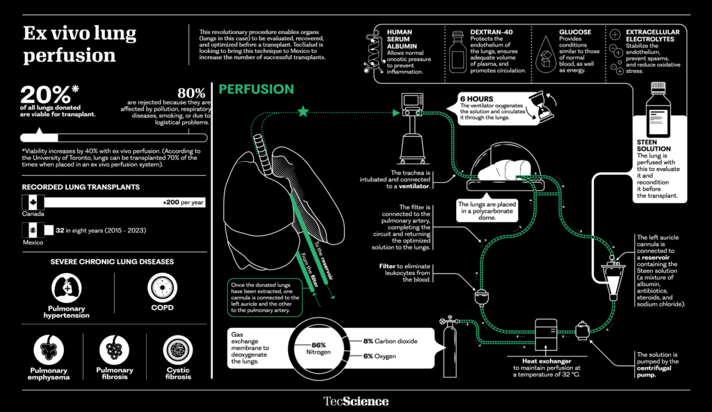 Ex vivo Perfusion Infographic | TecScience