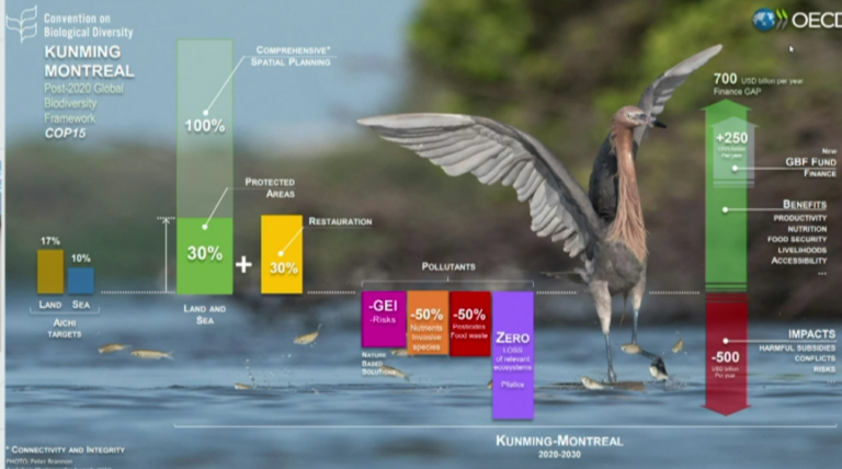 OECD Warning of dangerous biodiversity loss | TecScience