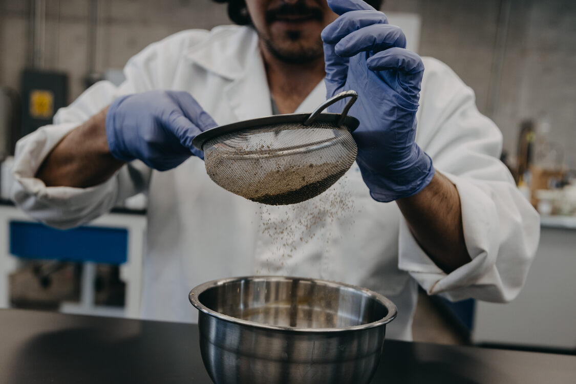 Future of food with edible insects |TecScience