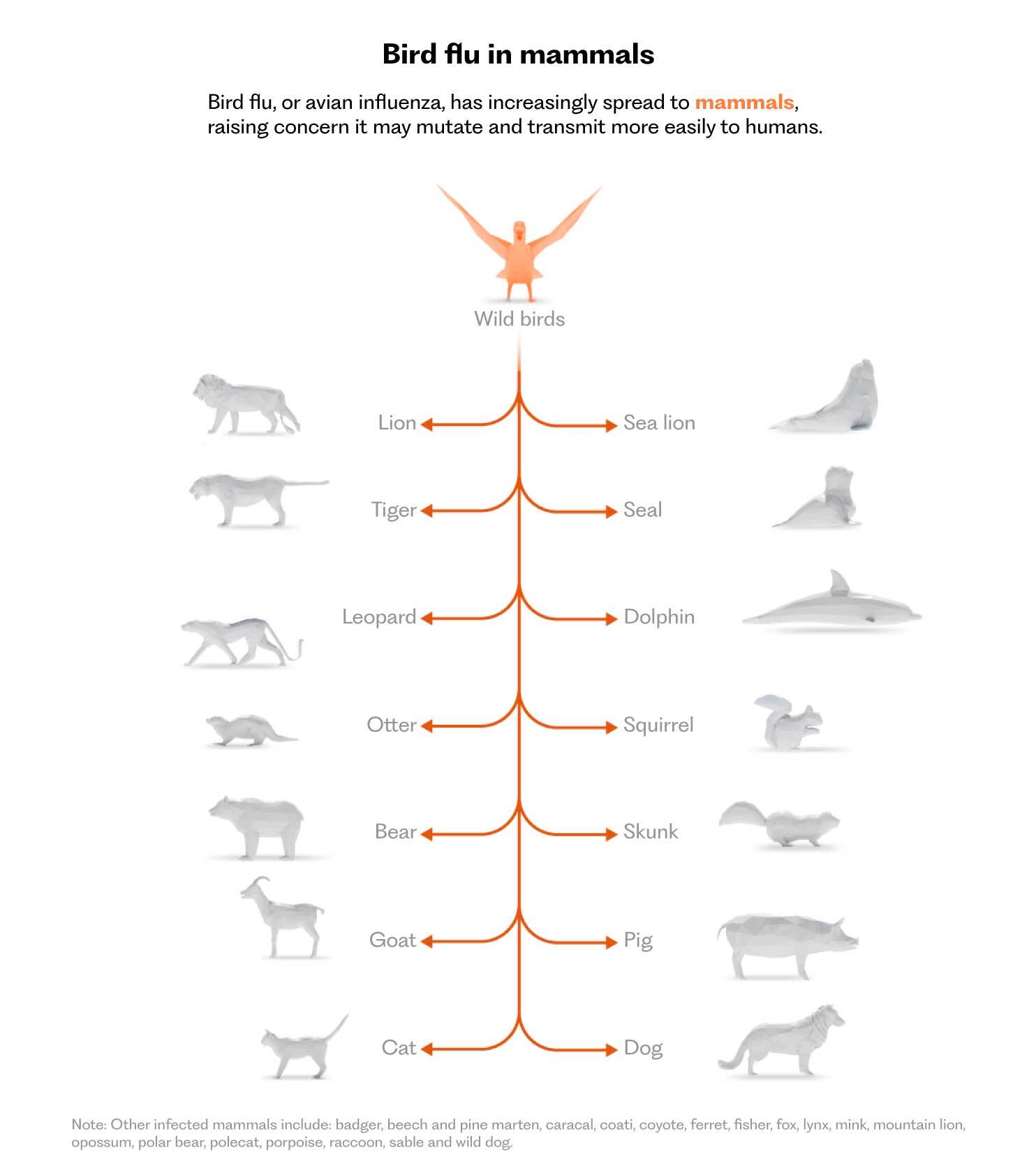 How Can Humans Catch Bird Flu? | TecScience