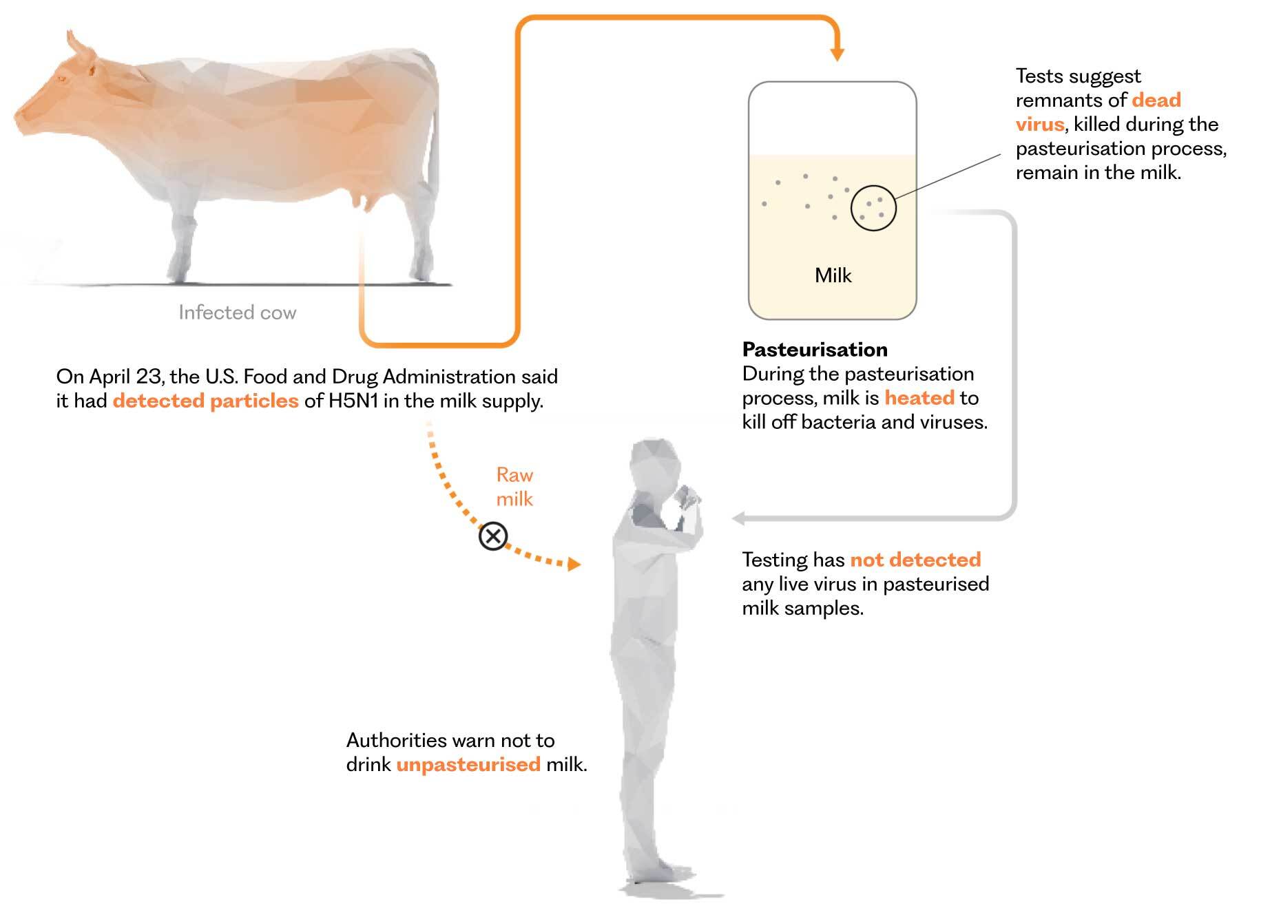 How Can Humans Catch Bird Flu? | TecScience