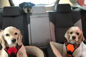 Claudia Rangel: Studying Math Gives You Freedom | TecScience