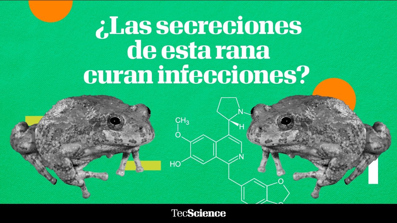 Science website | TecScience