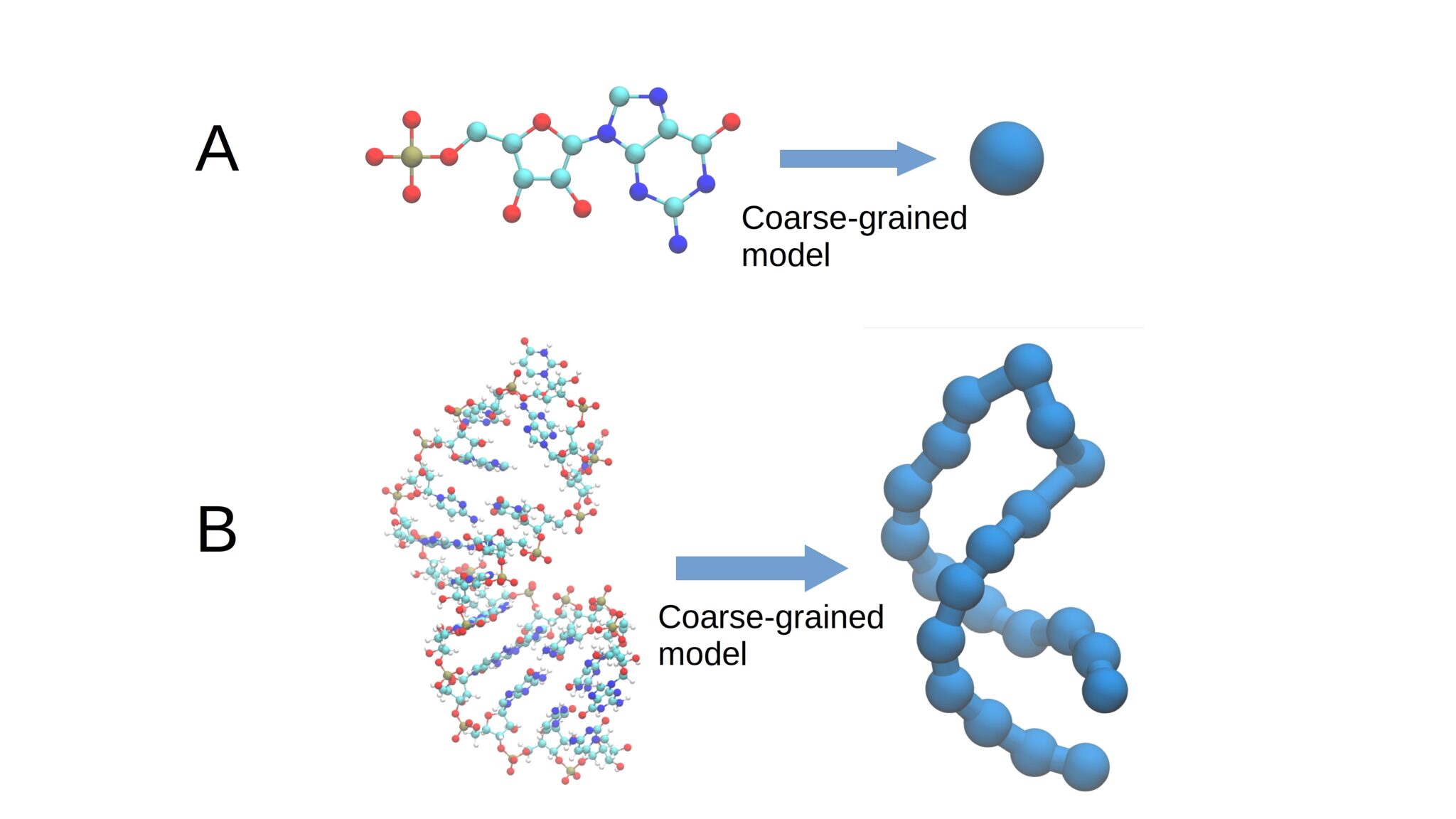 Coarse Grained Rna Modeling What It Is Tecscience