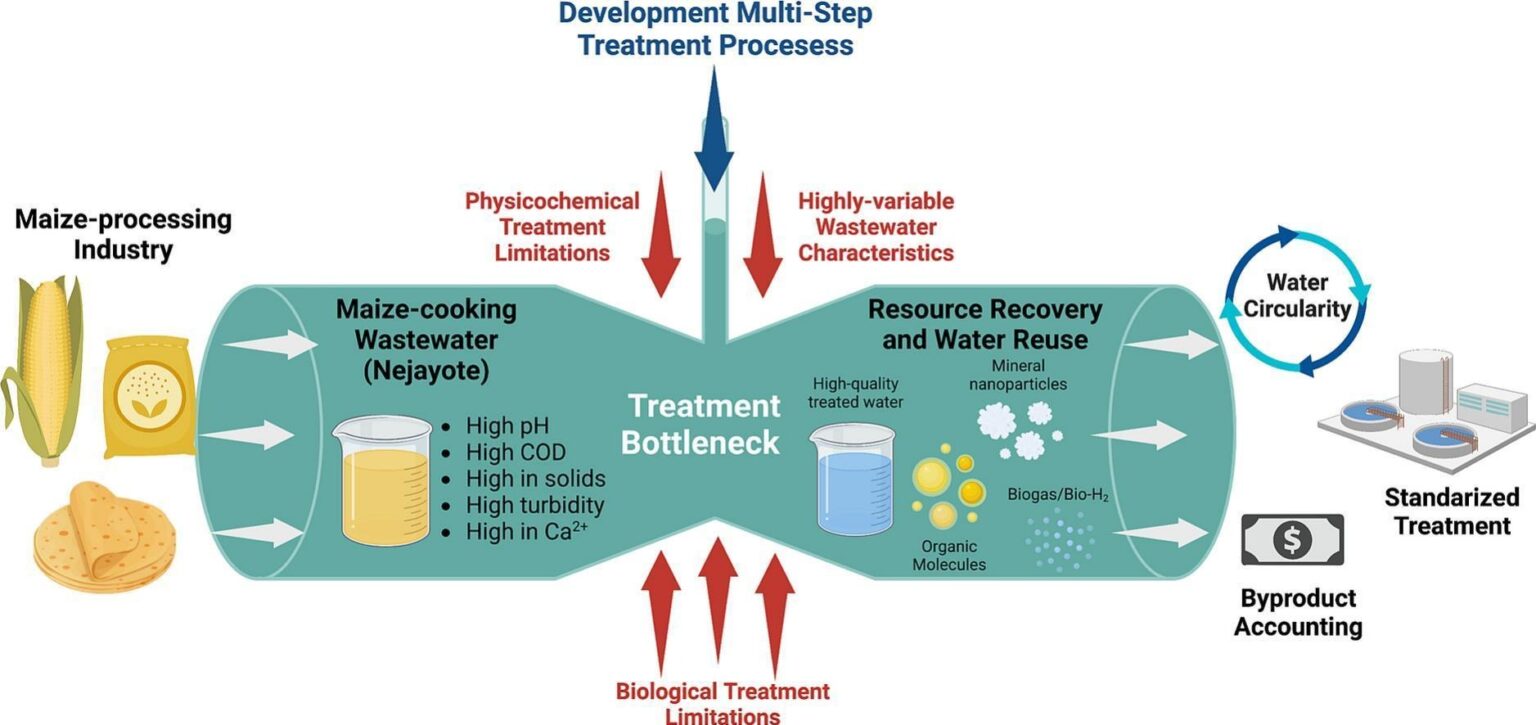 The Potential of Nejayote | TecScience