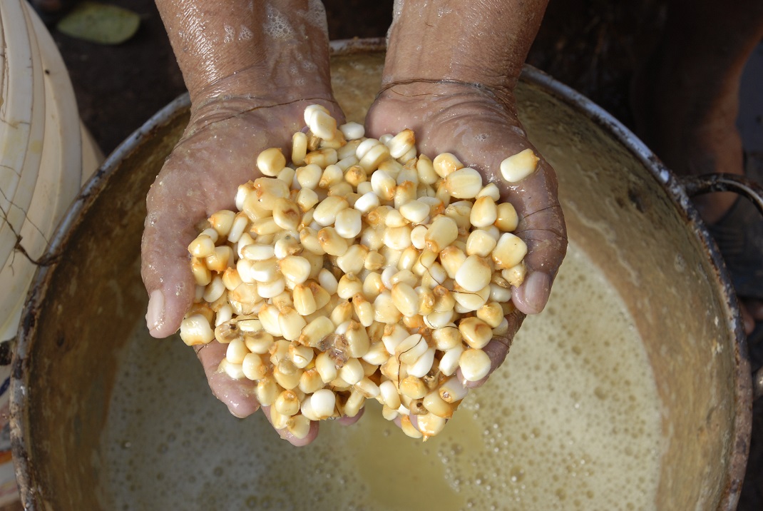 El nejayote: un residuo benéfico para la salud y clave de la economía ...