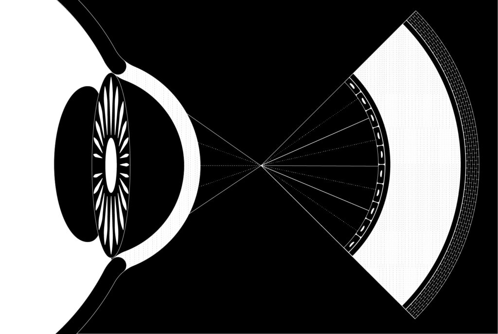 Infografias archivo - TecScience