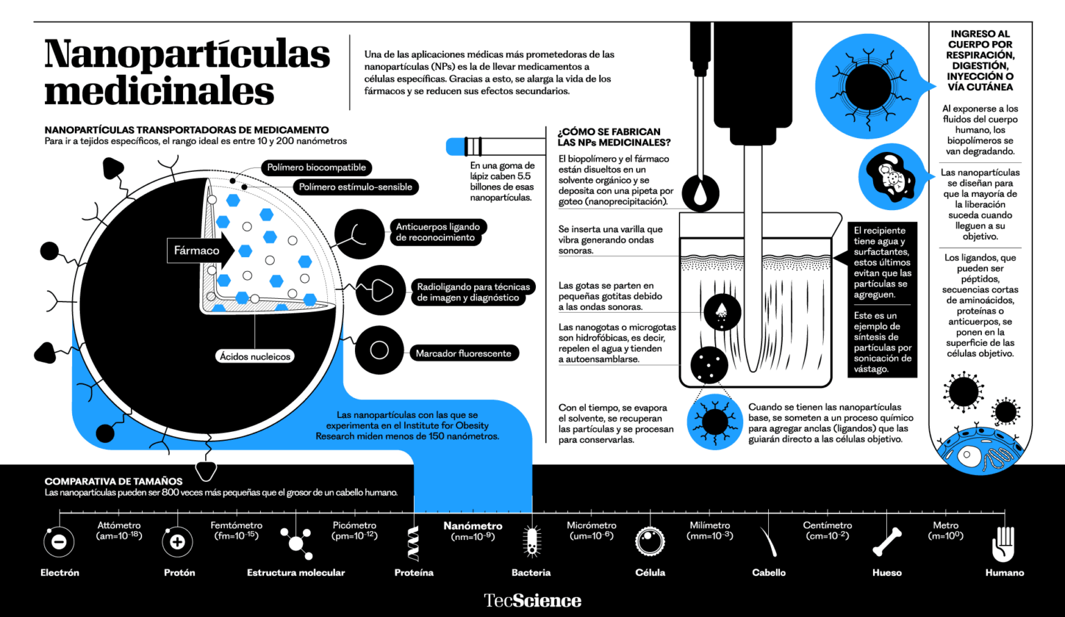Nanopartículas medicinales - TecScience