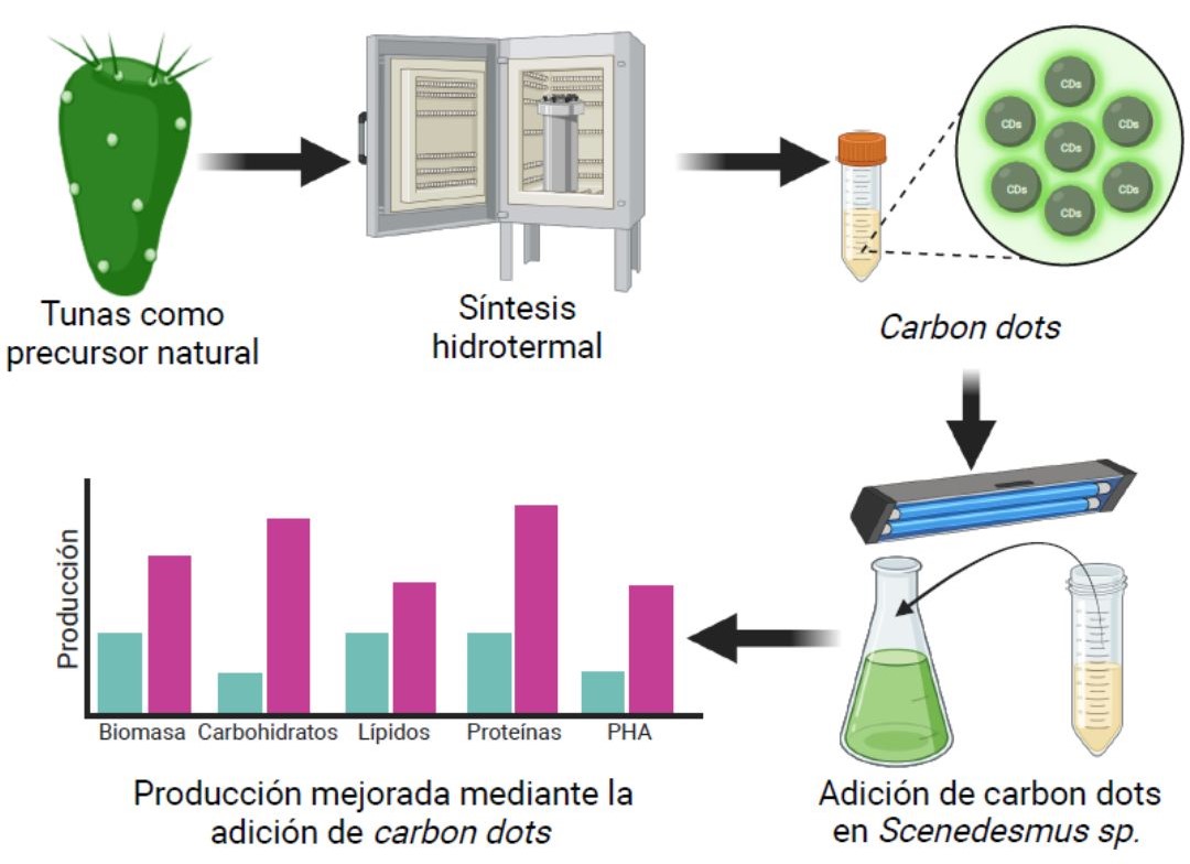 Bioplásticos de microalgas | TecScience