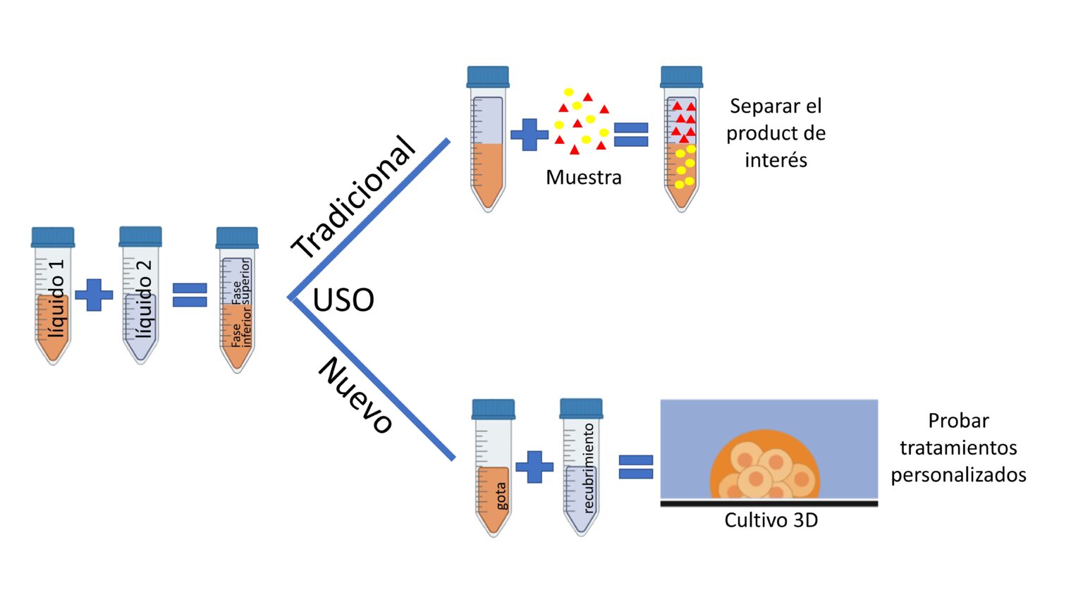 Simulación de tejido con bioingeniería: cómo funciona | TecScience