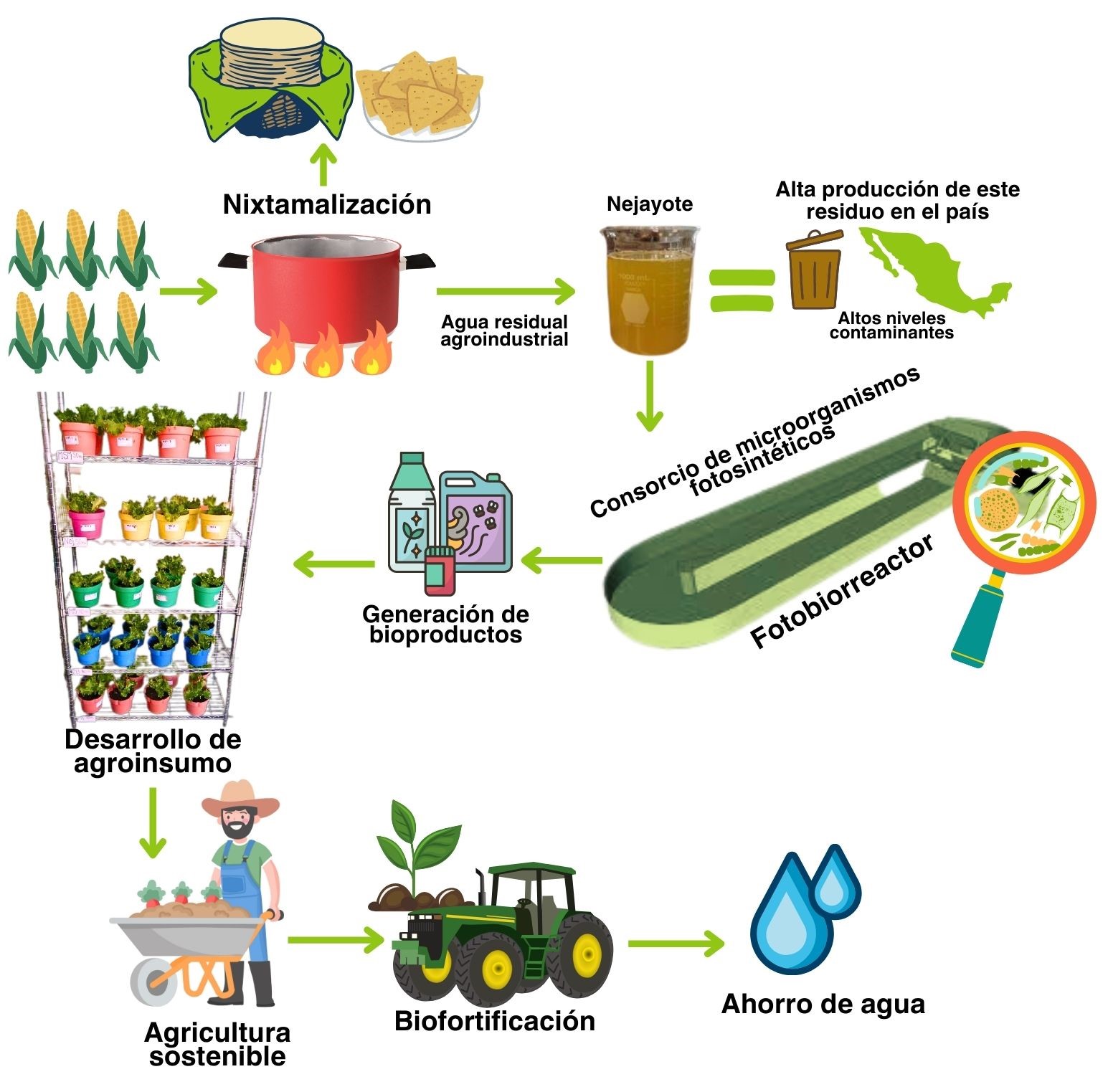 El potencial del nejayote | TecScience