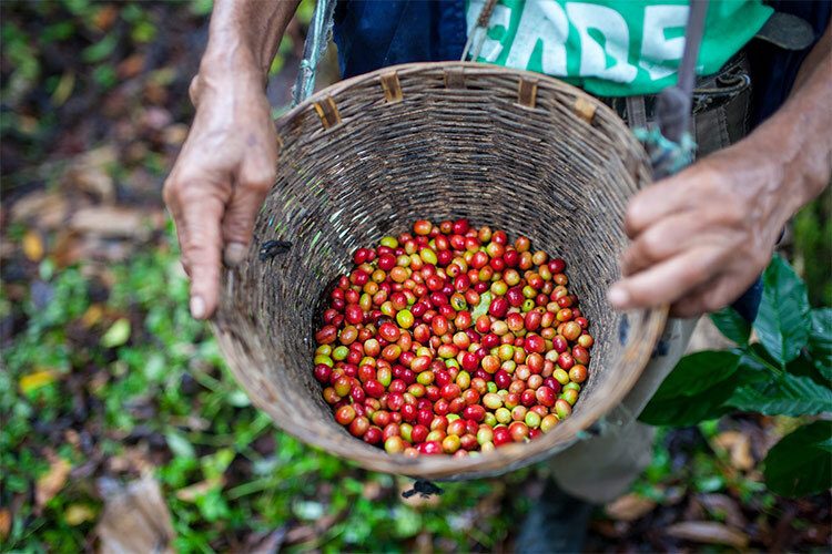 Elementor #157421 - TecScience