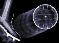 Divulgacion Cientifica archivo - TecScience